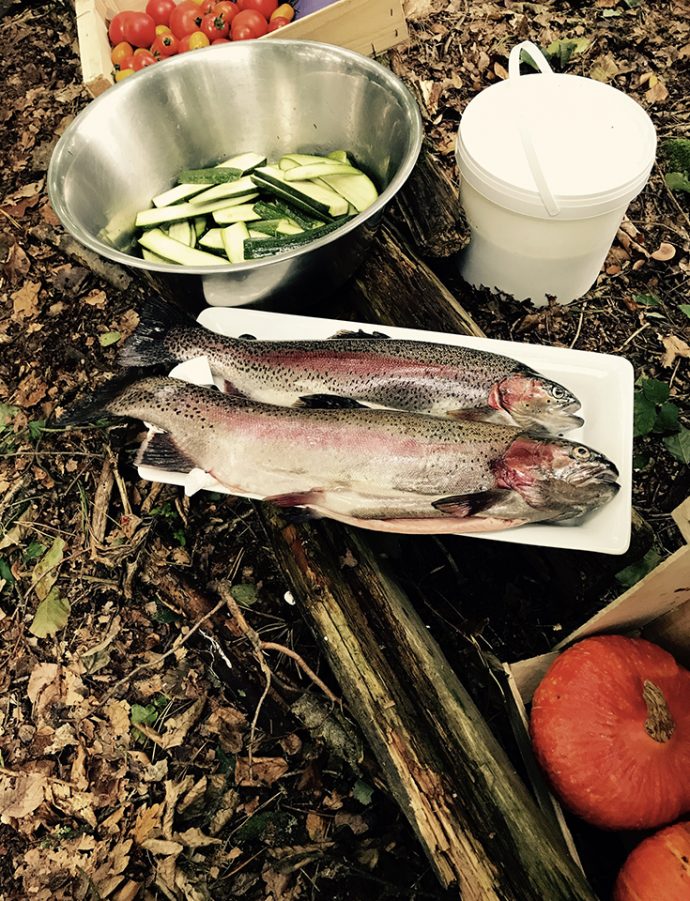 Witterung – Ein kulinarisches Festmahl unter freiem Himmel