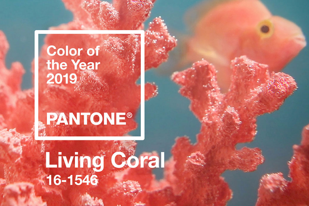 Pantone Farbe 2019 – Warum Living Coral eigentlich Dead Coral heißen muss